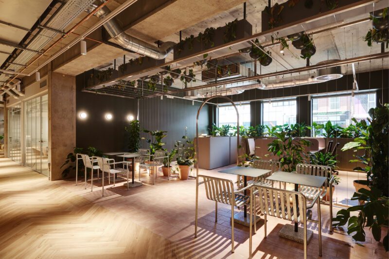 Clockwise's First Metaverse Office: What to Expect